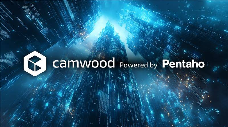 Lead with Confidence: How a Pentaho AI Audit Transforms ROI